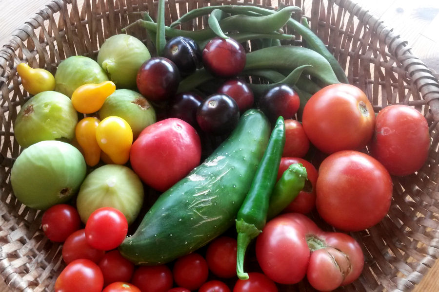 Camp Full Monte Eco Camping Naturally Wrapped in Montenegro