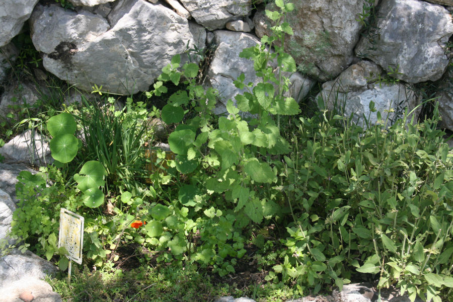 Camp Full Monte Eco Camping Naturally Wrapped in Montenegro