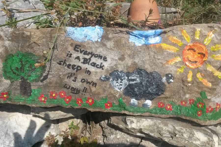 Camp Full Monte Eco Camping Naturally Wrapped in Montenegro